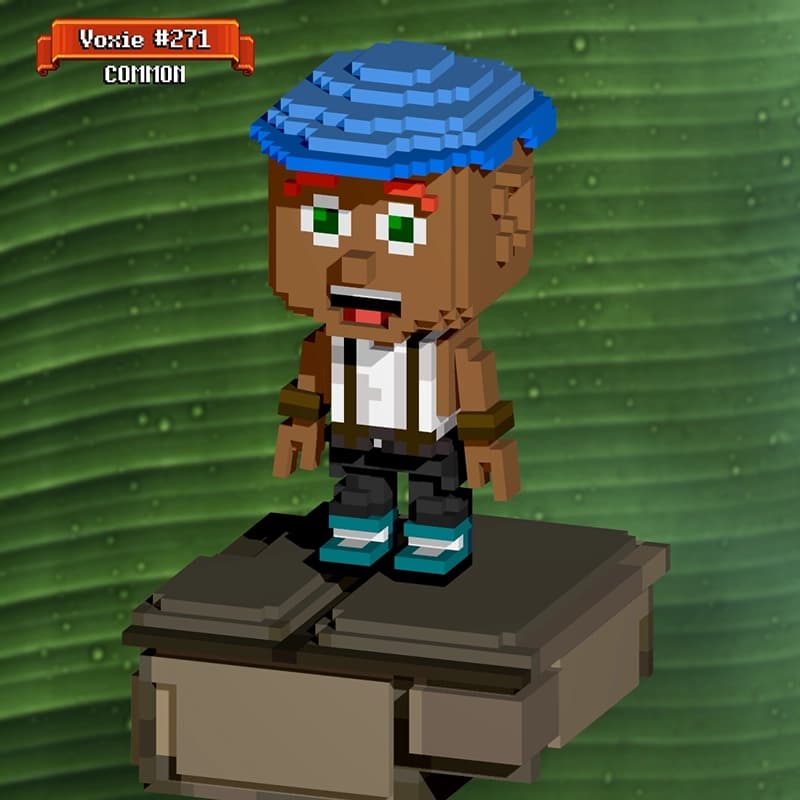 Voxies Marketplace - Profile - Collection